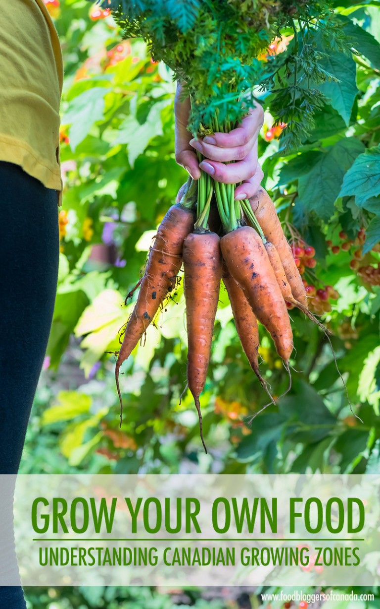 Grow Your Own Food: Knowing Your Canadian Gardening Zone | Food ...