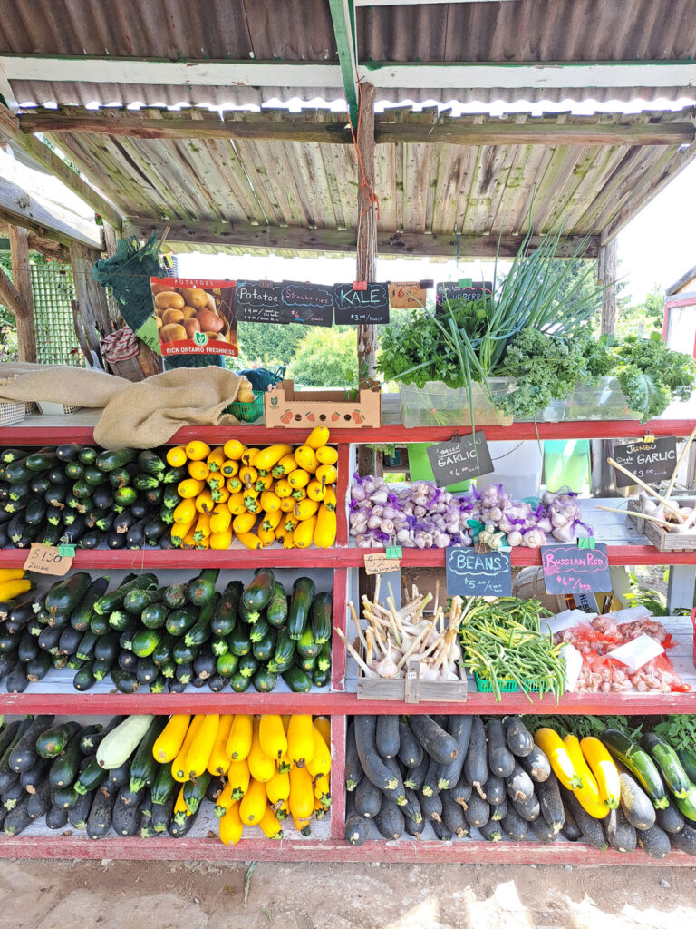 Navigating a Farmers Market: Choosing Seasonal Produce Like a Pro ...